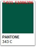 PANTONE 343 C,PANTONE 343 U,PMS 343 C,PMS 343 U_色号查询_PANTONE 潘通色卡国内代理商 ...